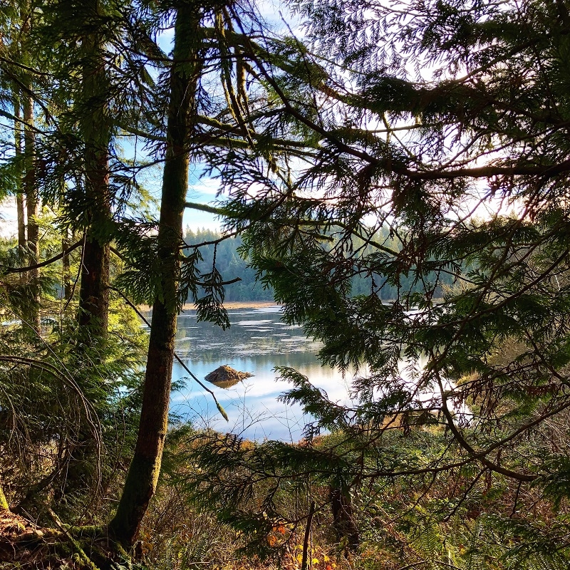Minnekhada Park: Discover Cool All Season Kids-Friendly Hikes & Trails