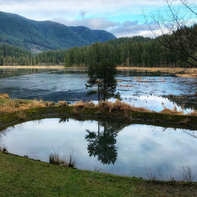 Minnekhada Park: Discover Cool All Season Kids-Friendly Hikes & Trails