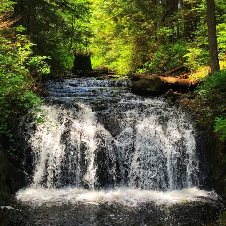Rolley Lake Park - Best Kept Secret Family Fun Spot in Mission BC