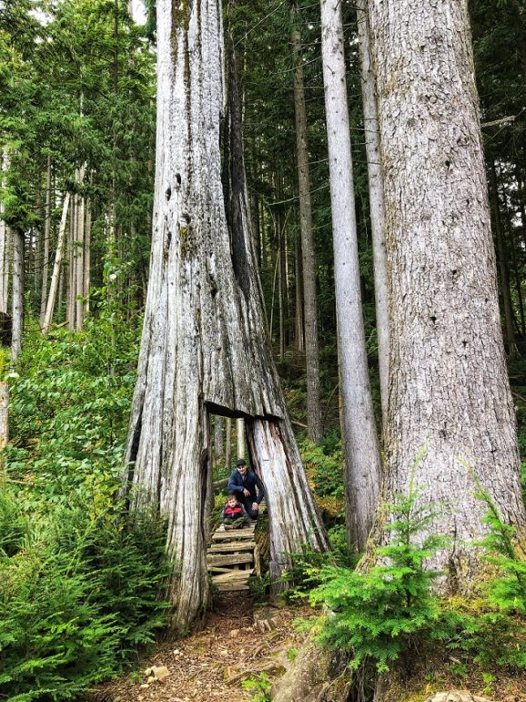 Top 6 Awesome Hikes in Mission BC to Take Your Kids On This Season