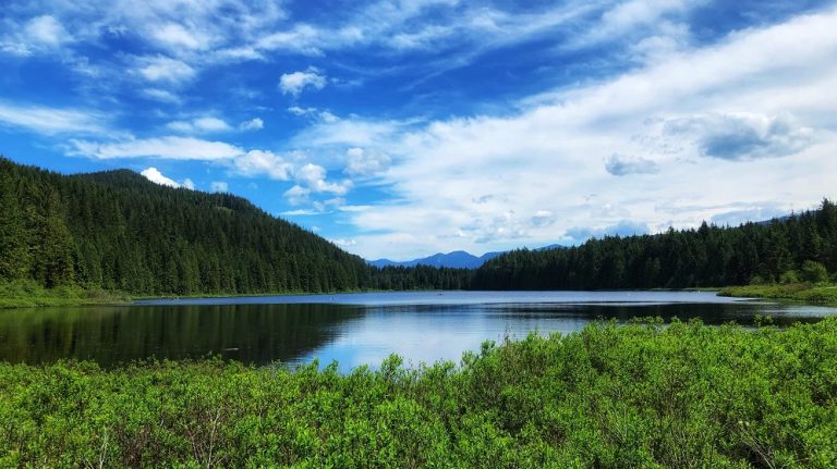 Top 6 Awesome Hikes in Mission BC to Take Your Kids On This Season