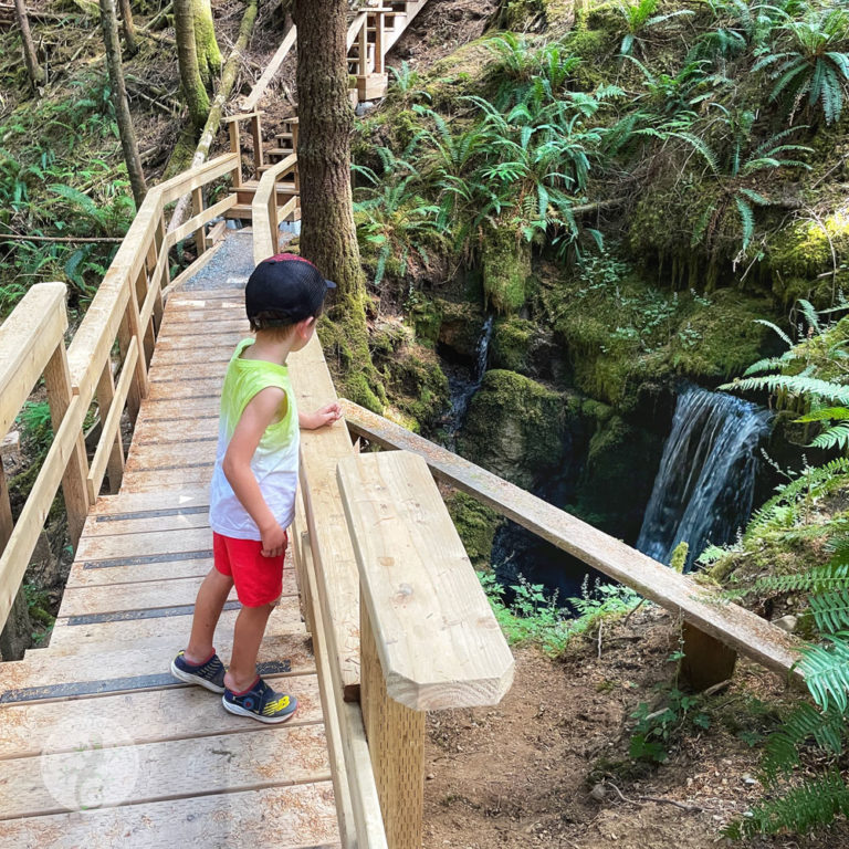 Port Alice, BC: Marvel at Wild Beauty of North Vancouver Island "Beast"