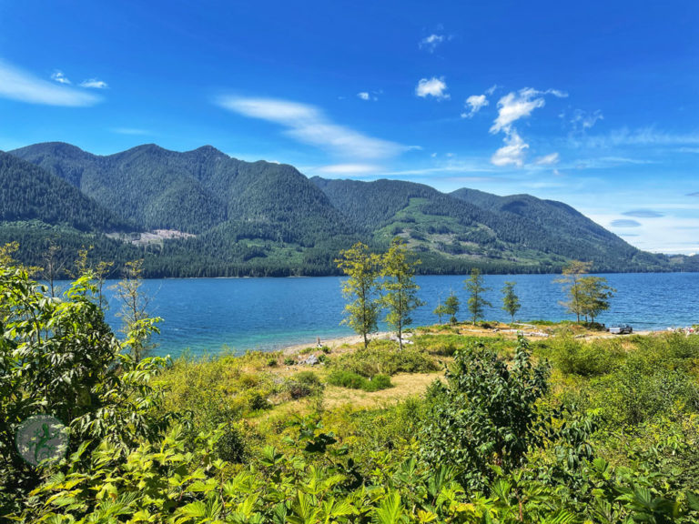 Port Alice, BC: Marvel at Wild Beauty of North Vancouver Island "Beast"