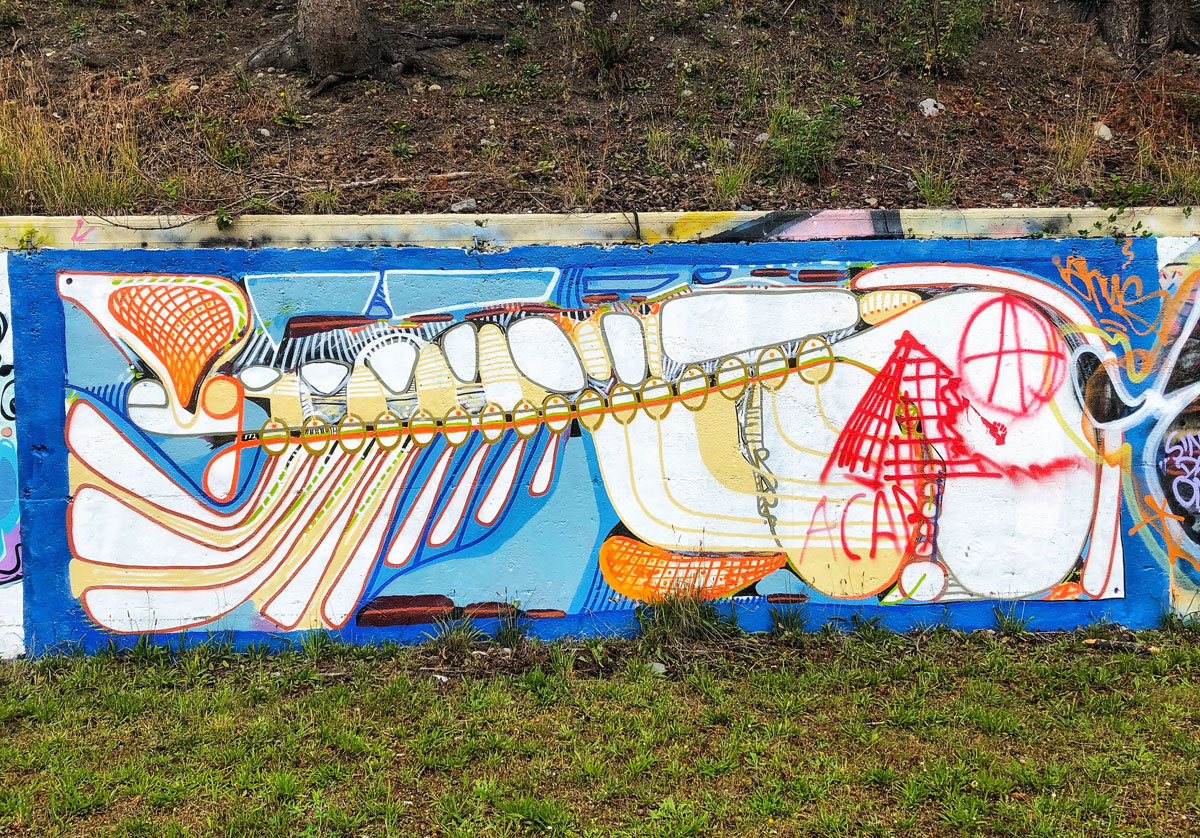 Stop to Admire the Graffiti Street Art of Powell River, BC