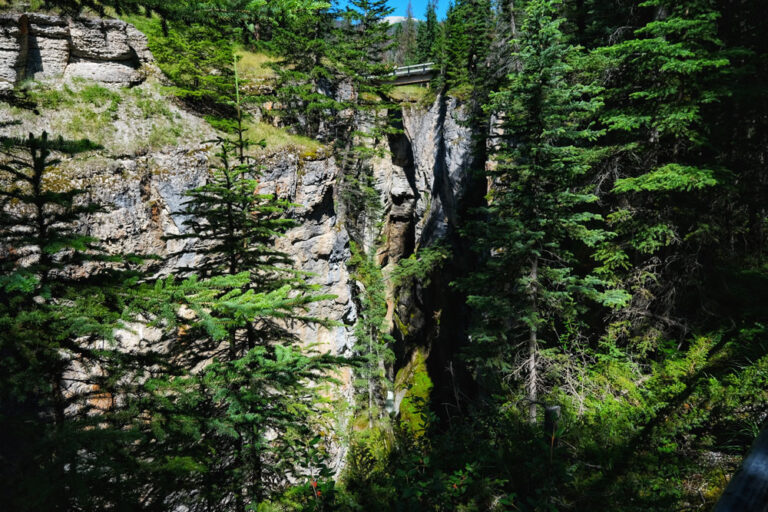 Maligne Canyon Jasper AB: Walk Family Hiking Trail That Surprises